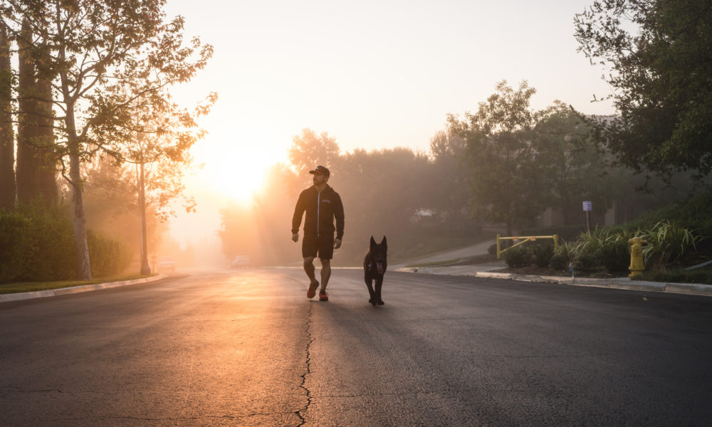 Sam Bakhtiar On His Way To A Quarter Billion - Disrupt Magazine & Podcast