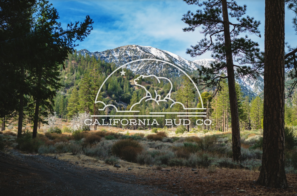 Why California Bud Company is Like The Silicon Valley for Cannabis ...