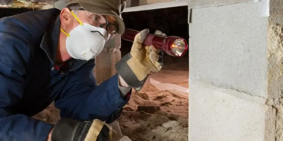 Golden Circle Exterminators: Your Ultimate Solution for Pest Control ...